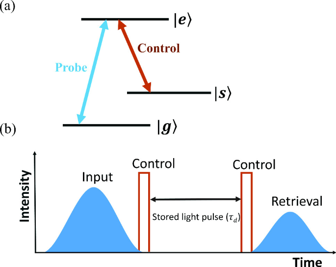 Optimal control fields for efficient quantum memory in cold atoms via ...