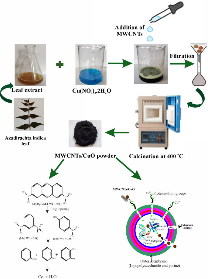 Grafting of functional MWCNTs with biogenic synthesized CuO ...