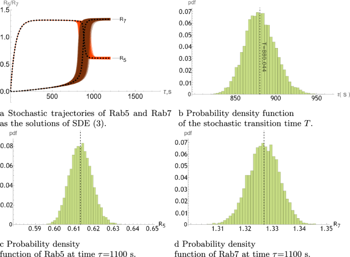 Stochastic nonlinear model for nanoparticles and viruses escape from ...