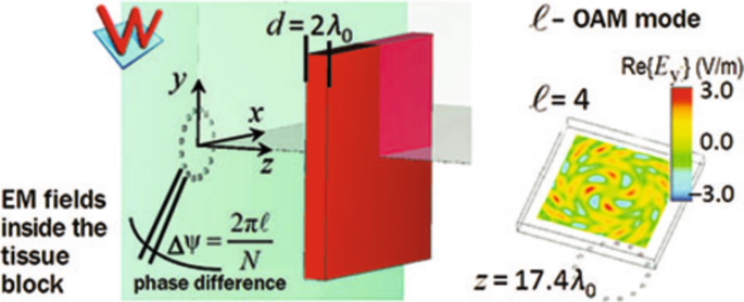 Transmission and attenuation of the millimetre-wave OAM beams through ...