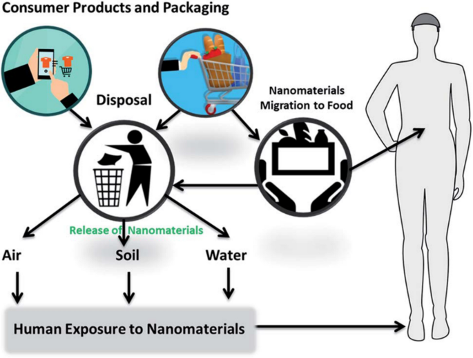 Nanotechnology in the manufacturing of sustainable food packaging: a ...