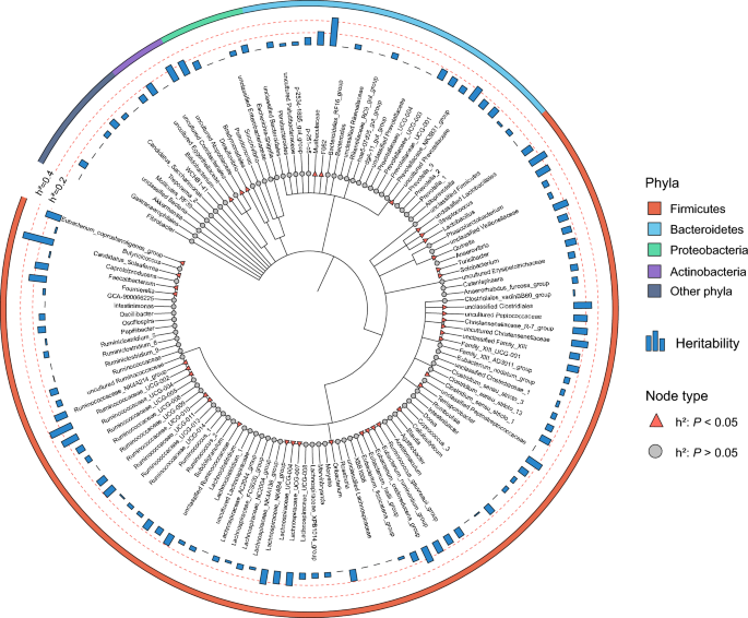 Unraveling the role of bacteria with heritable versus non-heritable ...