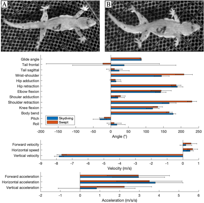 Forelimb motion and reciprocation mediate aerodynamic control in a ...