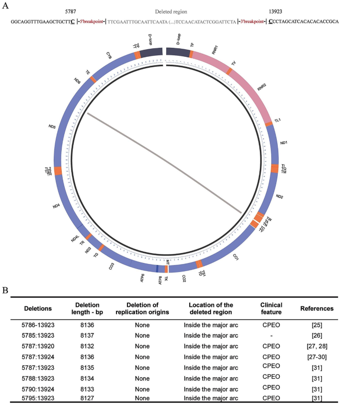Correction: HiFi long-read amplicon sequencing for full-spectrum variants of human mtDNA | BMC ...