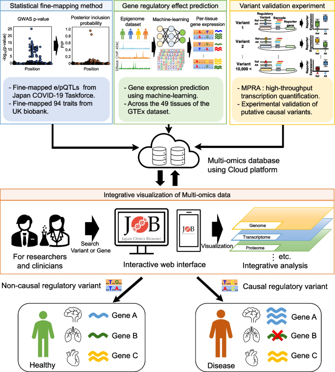 JOB: Japan Omics Browser provides integrative visualization of multi ...