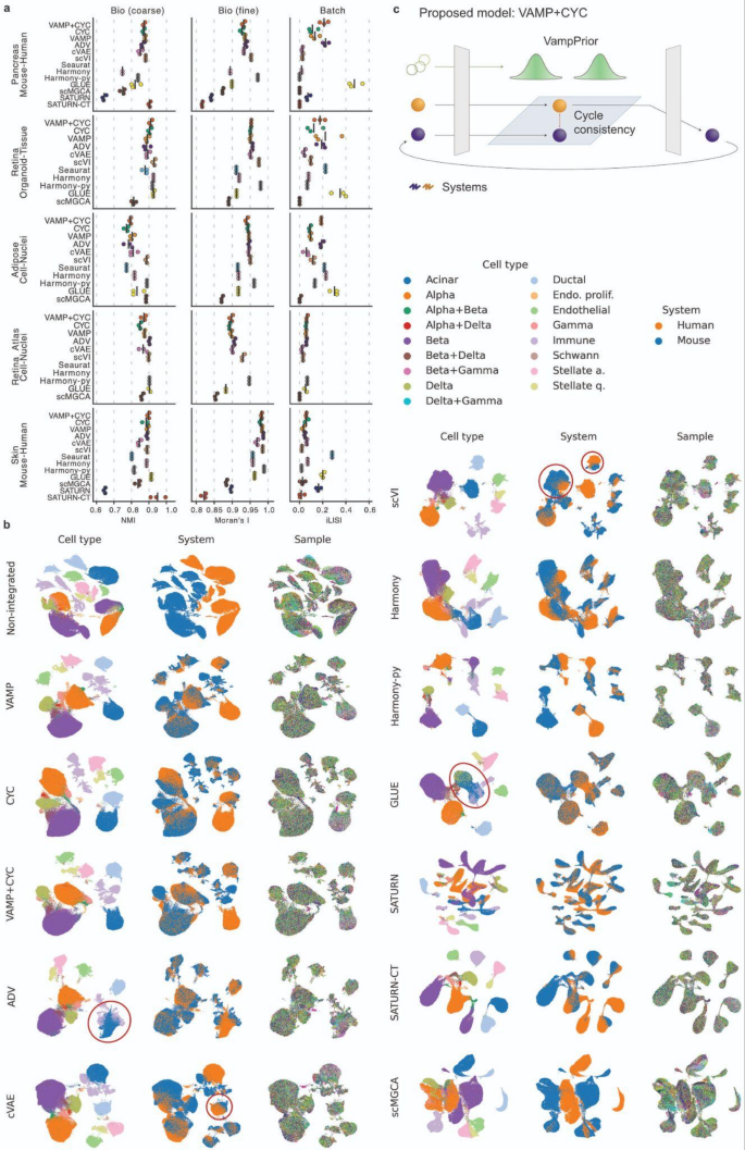 Integrating single-cell RNA-seq datasets with substantial batch effects | BMC Genomics
