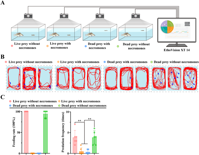 Genome-wide identification, expression analysis of taars (trace amine ...