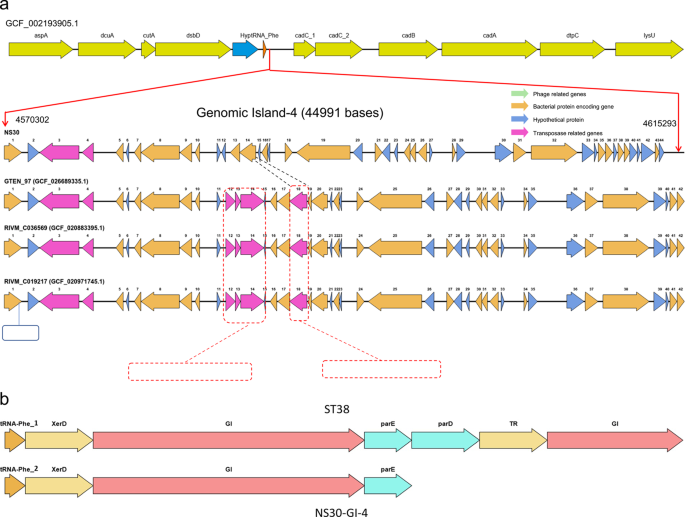 Correction: Genomic islands and plasmid borne antimicrobial resistance ...