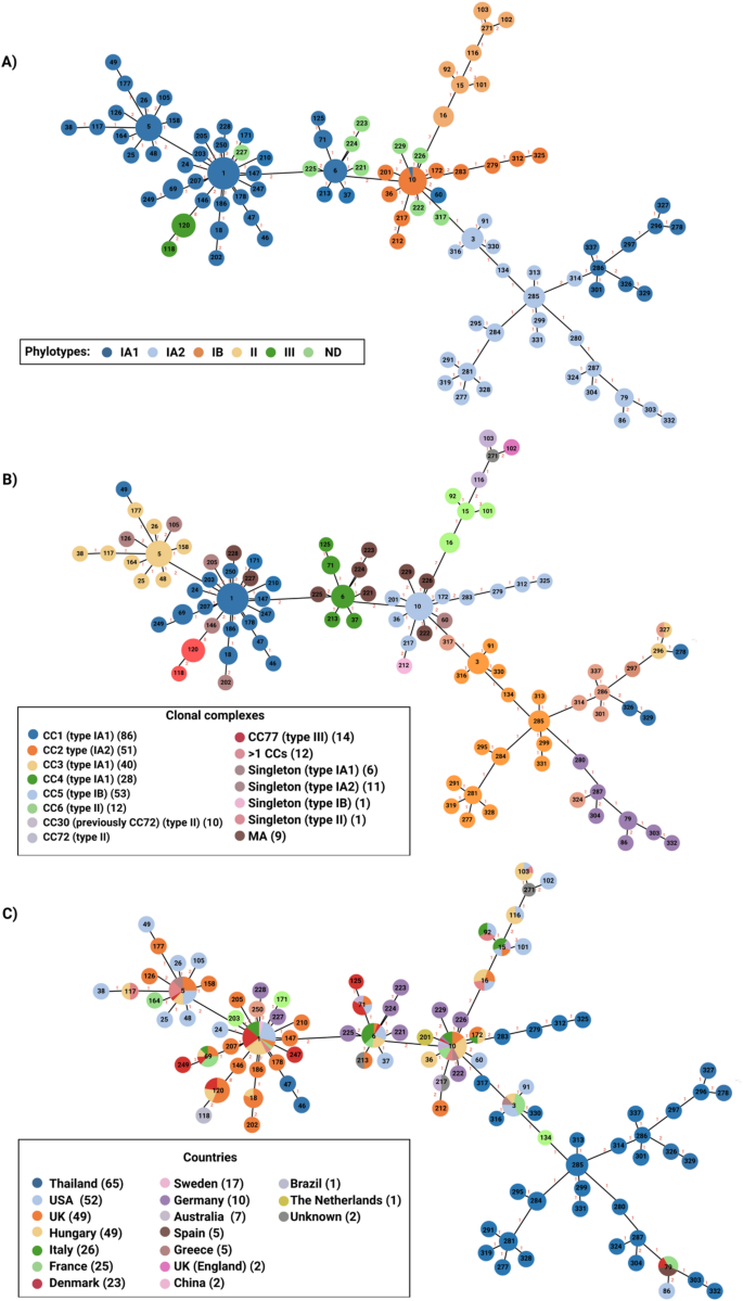 Unique genetic diversity of Propionibacterium acnes isolated from human ...