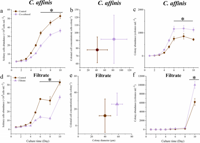 Chemical-mediated effects of Chaetoceros affinis on colony formation of ...