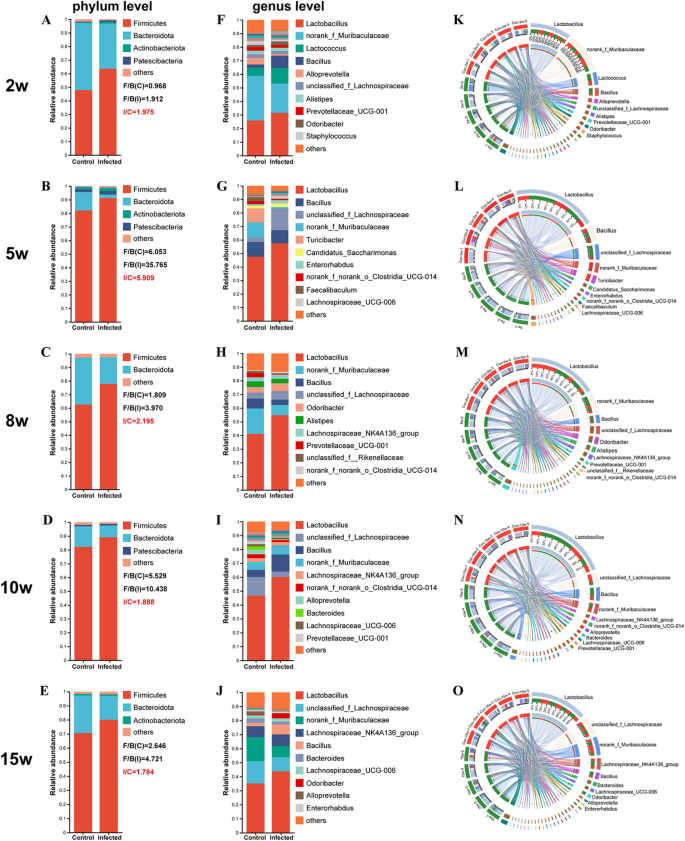Multi-omics reveals the impact of Clonorchis sinensis infection on ...