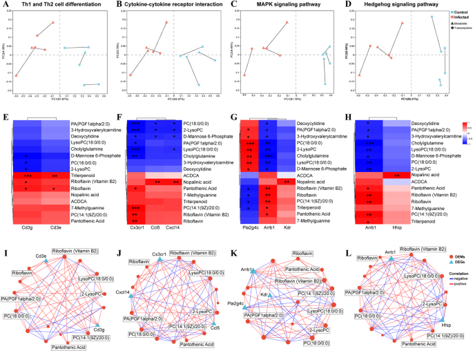 Multi-omics reveals the impact of Clonorchis sinensis infection on ...