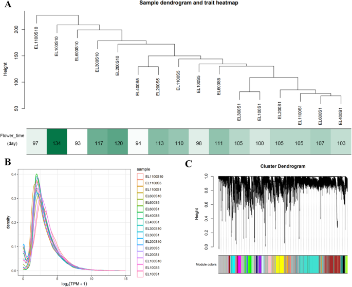 Transgressive expression and dosage effect of A09 chromosome genes and ...