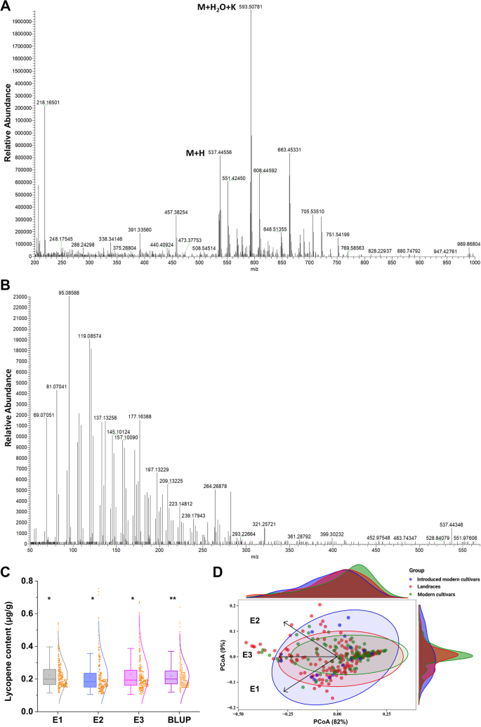 Analysis of lycopene variation and genetic characteristics in wheat ...