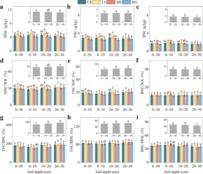 Light grazing promotes the accumulation of soil microbial necromass ...