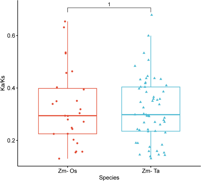 Correction: Genome-wide identification of the phosphofructokinase gene ...