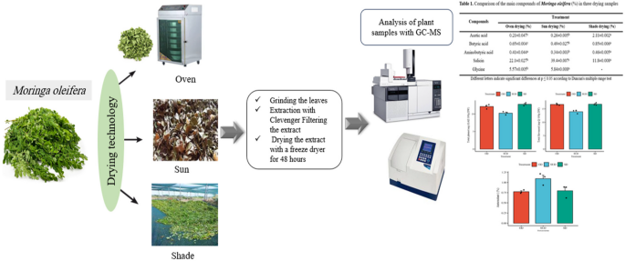 Effect of drying conditions on the preservation of selected bioactive ...