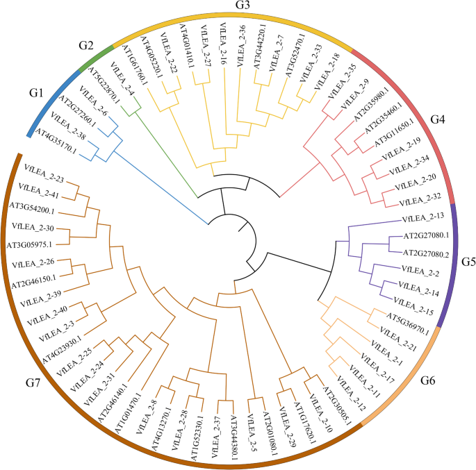 Genome-wide identification, structural characterization and gene ...