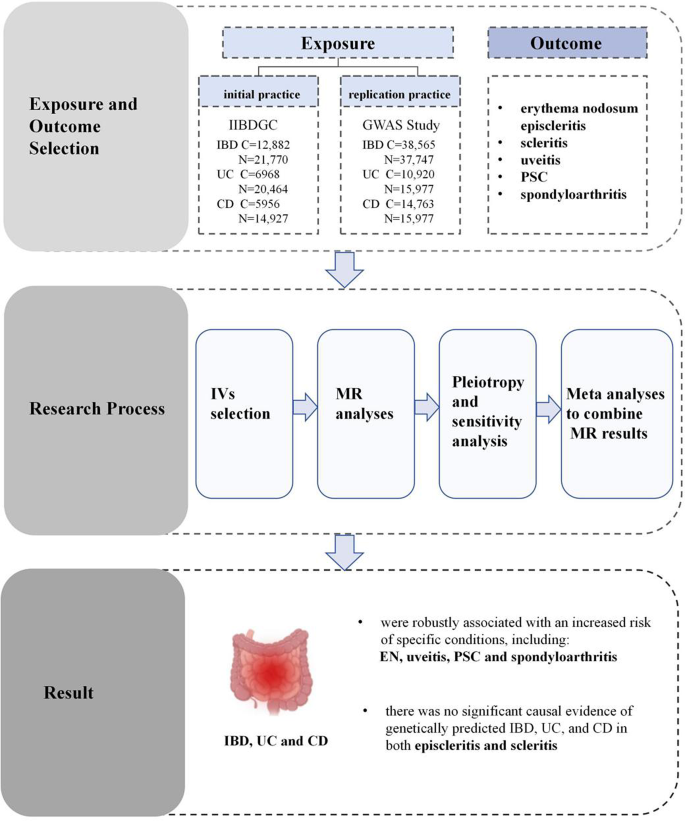 The causal impact of genetically predicted inflammatory bowel disease ...