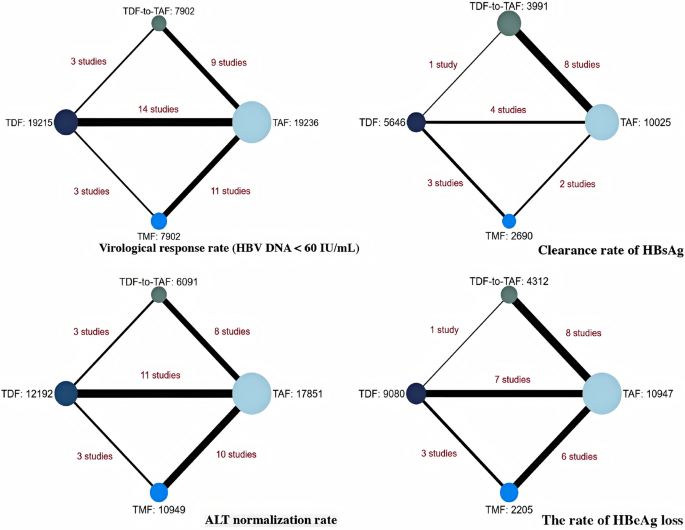 Efficacy of TDF, TAF, TMF, and TDF-to-TAF switch in chronic hepatitis B ...