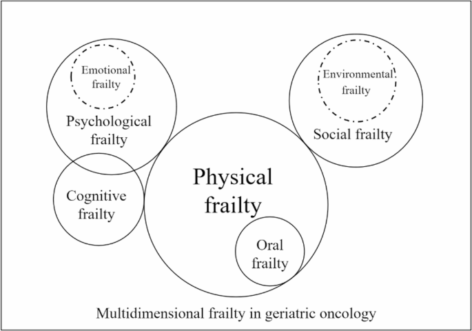 The concept of multidimensional frailty in geriatric oncology: a ...
