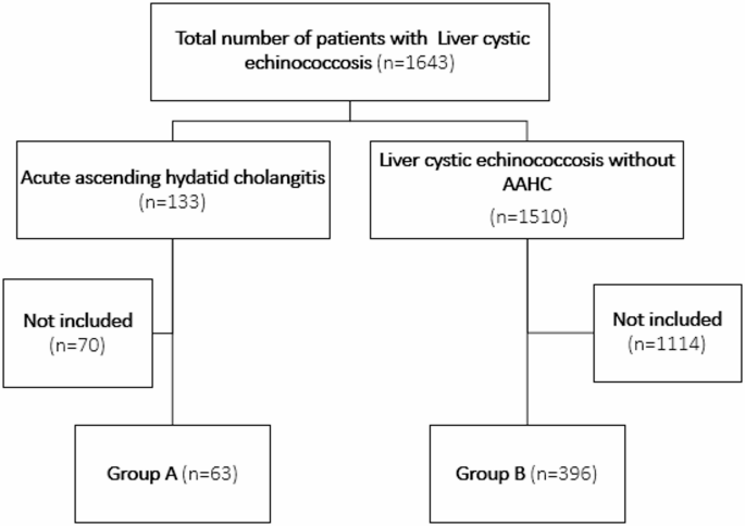 Validation of charcot’s triad and Tokyo guidelines 2018 as a diagnostic ...