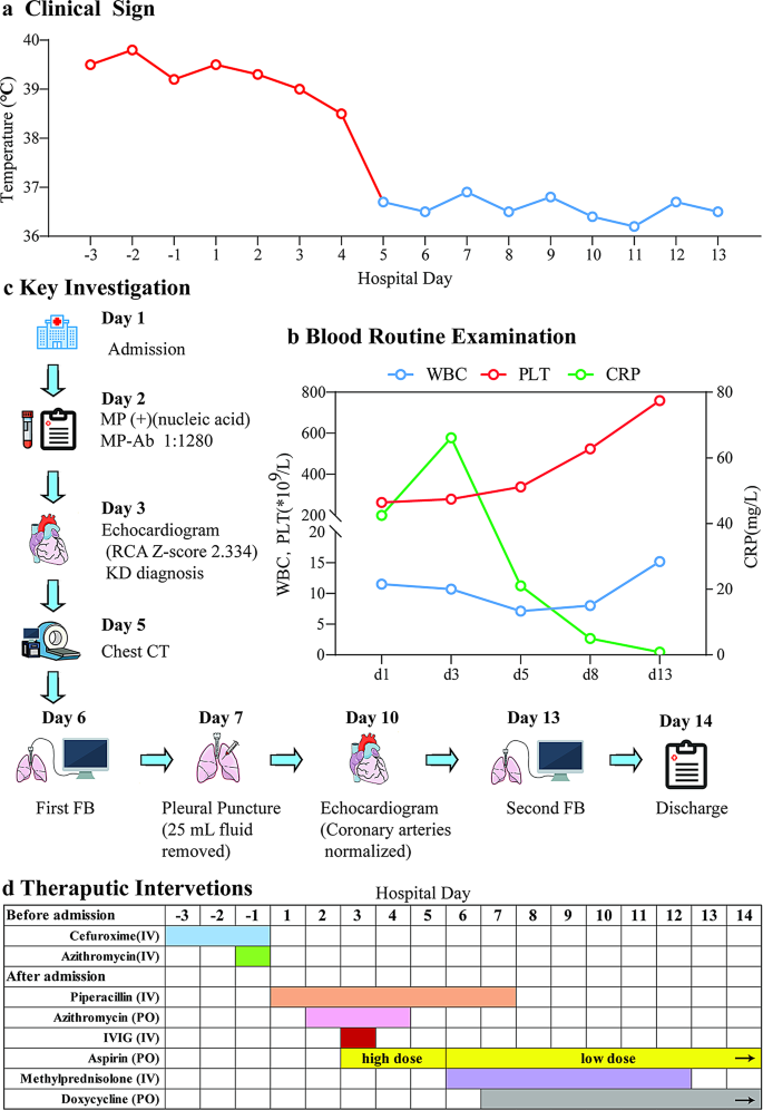 A case report of severe Mycoplasma pneumoniae pneumonia complicated by ...