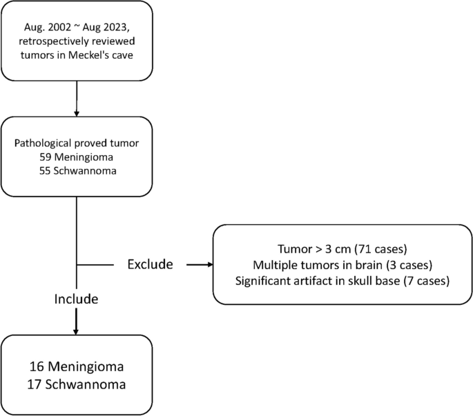 MRI findings for the pretreatment diagnosis of small Meckel’s cave tumors: comparison of ...