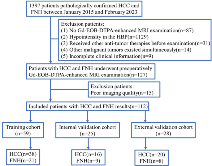 Hepatocellular carcinoma (HCC) and focal nodular hyperplasia (FNH ...