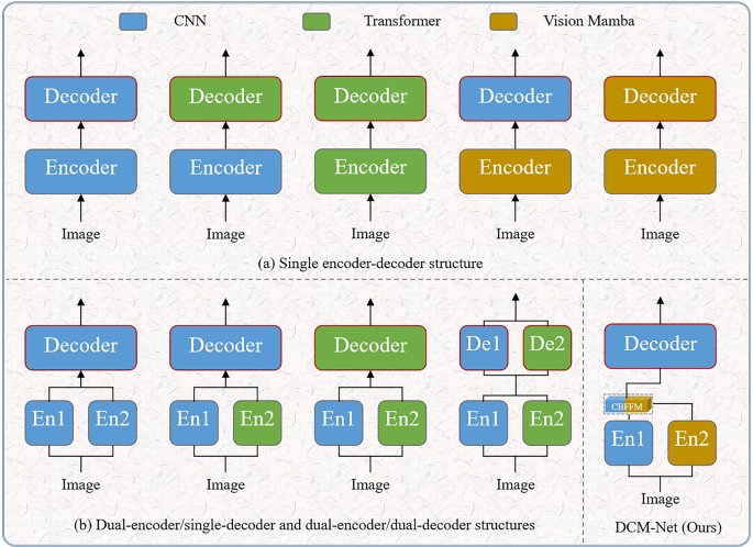 DCM-Net: dual-encoder CNN-Mamba network with cross-branch fusion for robust medical image ...