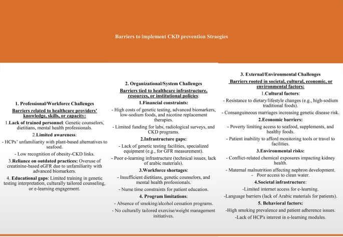 Delphi study on evidence-based CKD prevention strategies for nurses in ...