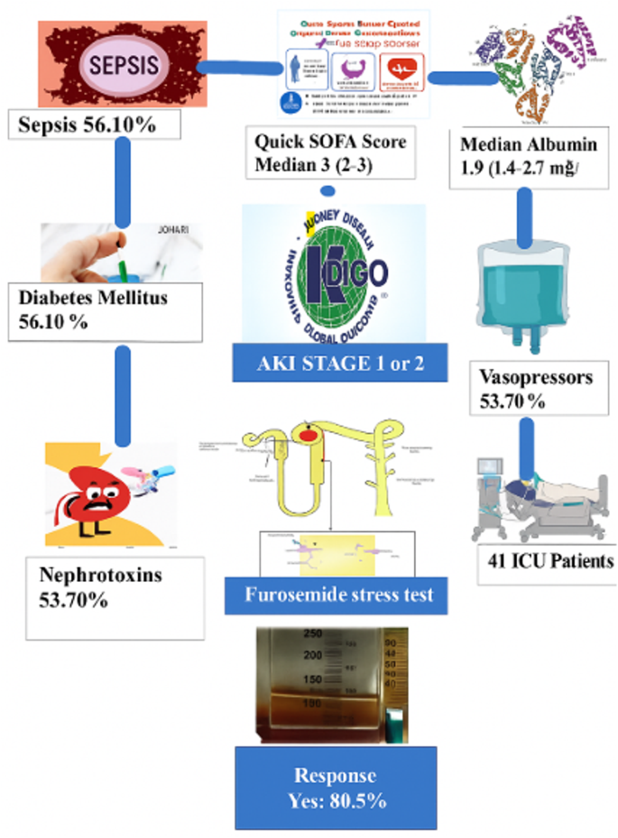 Factors affecting response to furosemide stress test among critically ...