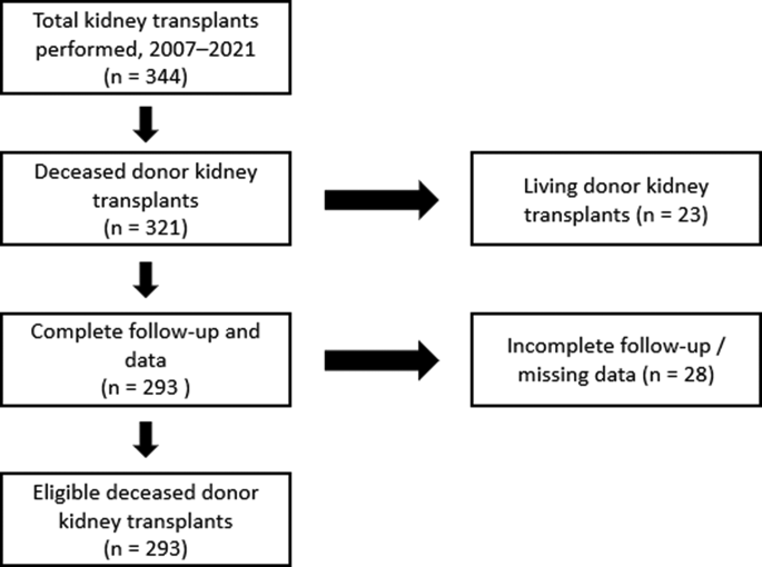 Impact of delayed graft function on overall and graft survival in ...