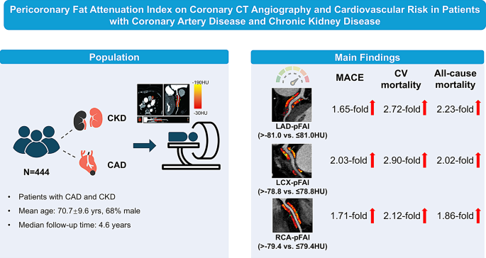 Pericoronary fat attenuation index on coronary CT angiography and ...
