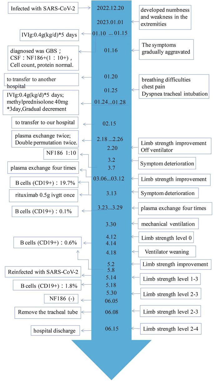 Autoimmune nodopathy with anti-NF186 antibodies following SARS-CoV-2 ...