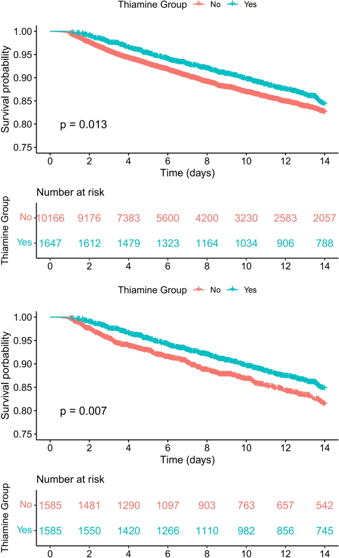 Thiamine use and short-term prognosis in critical cerebrovascular ...