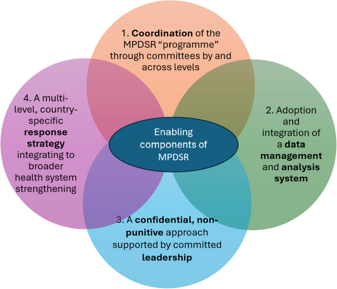 Beyond the guidelines: participants’ perspectives on sustained MPDSR ...