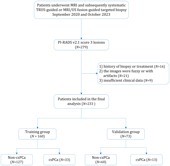 Biparametric MRI-based radiomics for prediction of clinically significant prostate cancer of PI ...