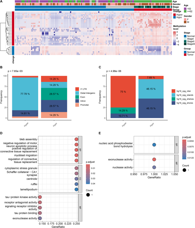 Cell-free DNA methylation and fragmentomics-based liquid biopsy for ...