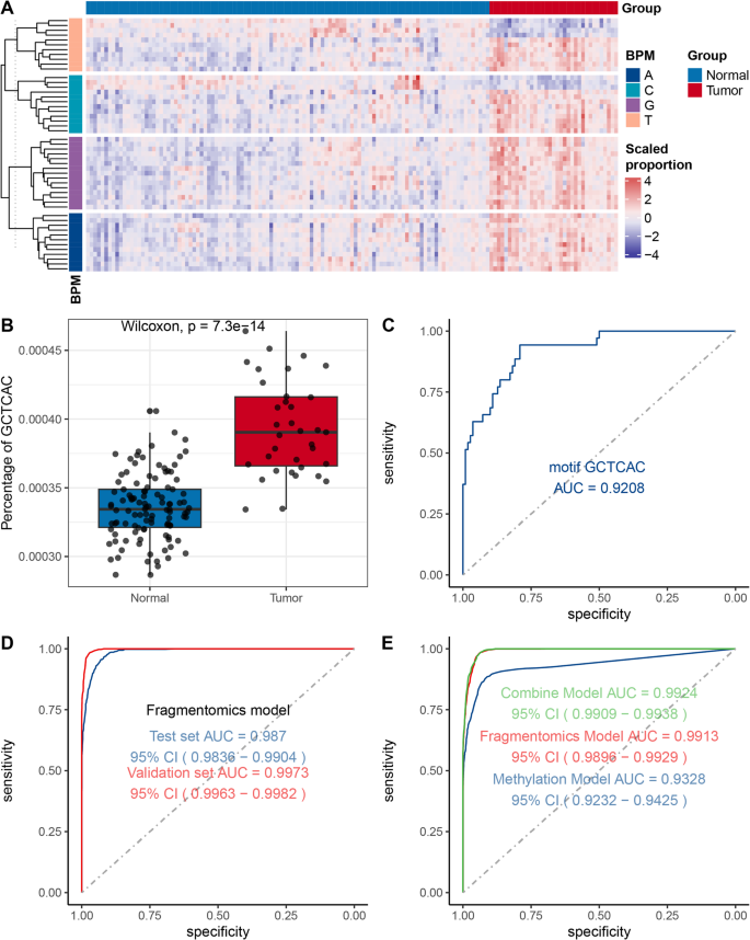 Cell-free DNA methylation and fragmentomics-based liquid biopsy for ...