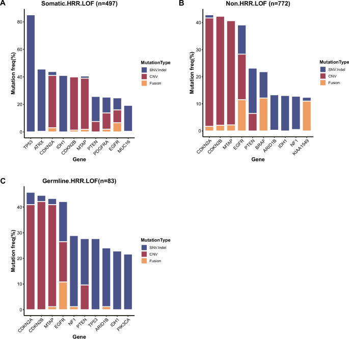 Mutation patterns and prognostic potentiality of homologous ...