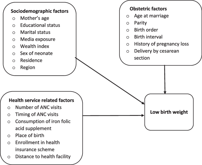 Regional and sub-regional estimates of low birth weight and its ...