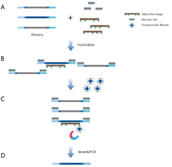A case report of confirmed difficult pulmonary tuberculosis based on ...