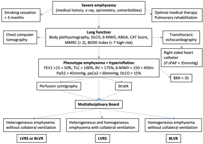 Reduction of low attenuation areas of emphysema after lung volume ...