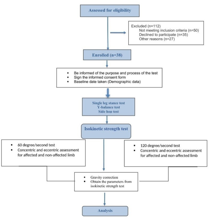 The gastrocnemius and soleus muscles deficits in functional ankle ...