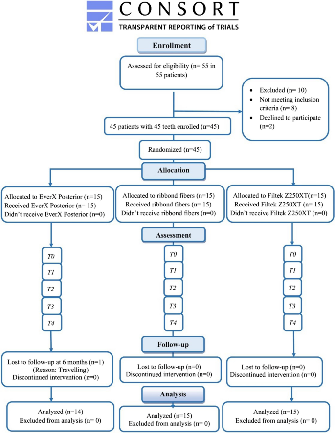Clinical performance of class II MOD fiber reinforced resin composite ...