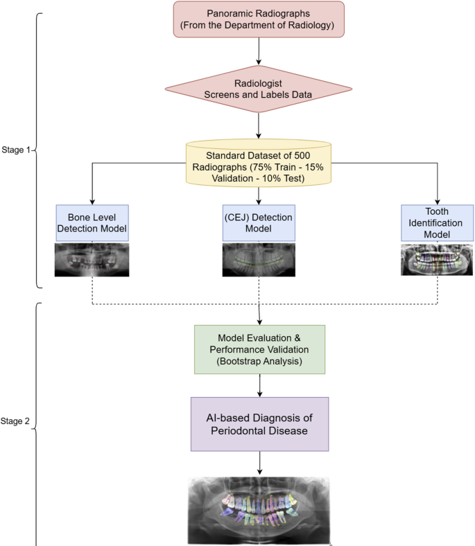 Development and validation of artificial intelligence models for ...