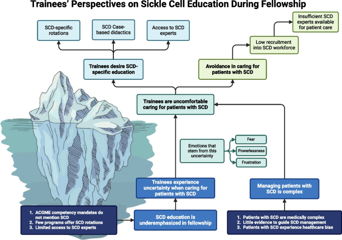 Trainees’ perspectives on sickle cell education: a qualitative needs ...