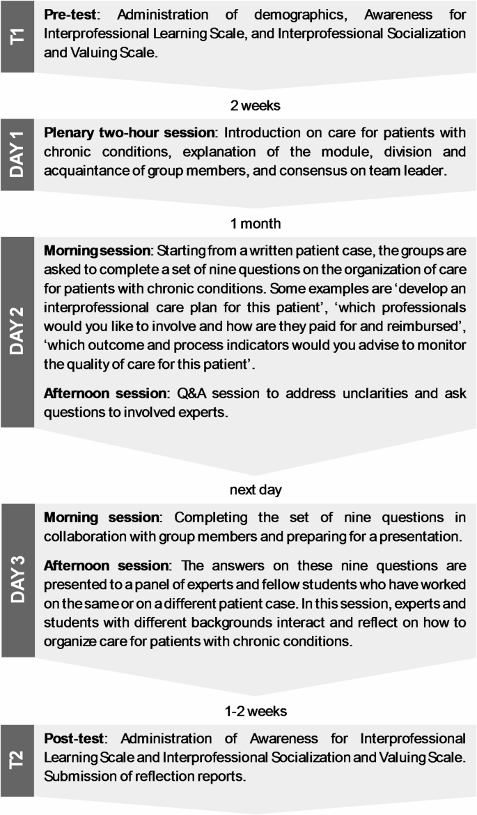 Preparing graduate students for collaborative practice in chronic care ...