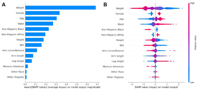 Interpretable machine learning model for low bone density screening in older adults using ...